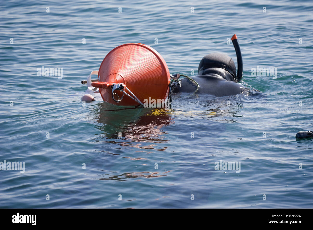 Diver in deep blue water Horizontal shot Stock Photo - Alamy