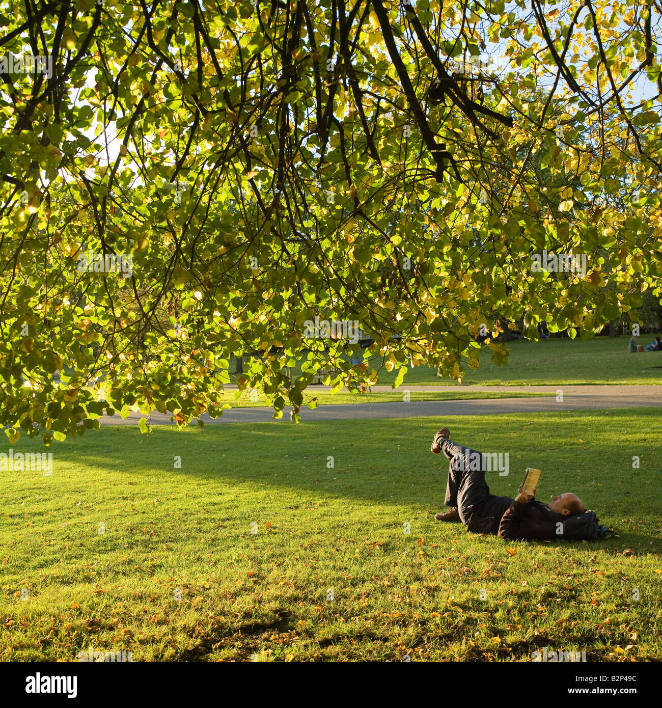 A man reading a book lies in the grass in the evening autumn sunshine ...