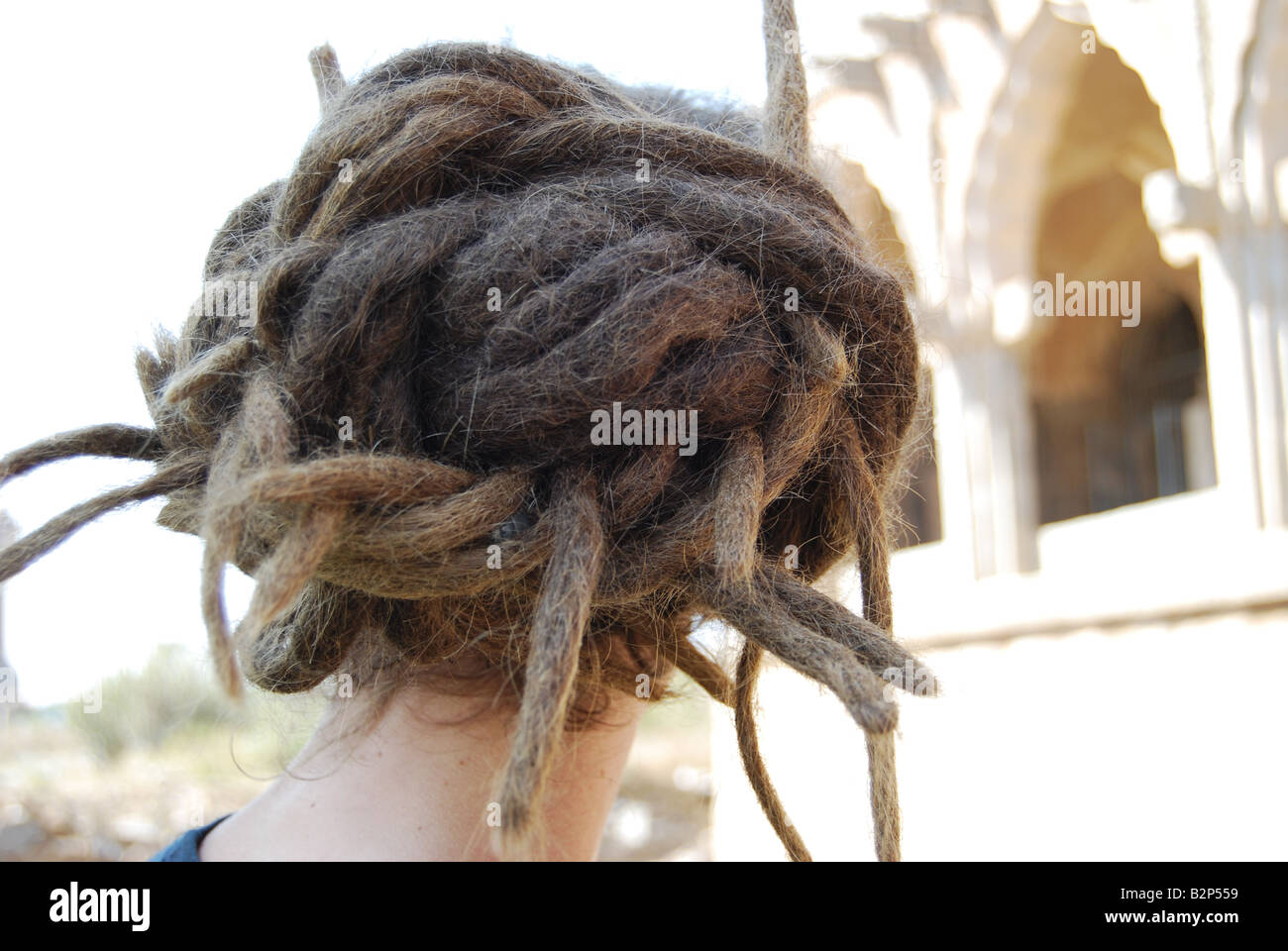 Back of a man's head with long dreadlocks Stock Photo - Alamy