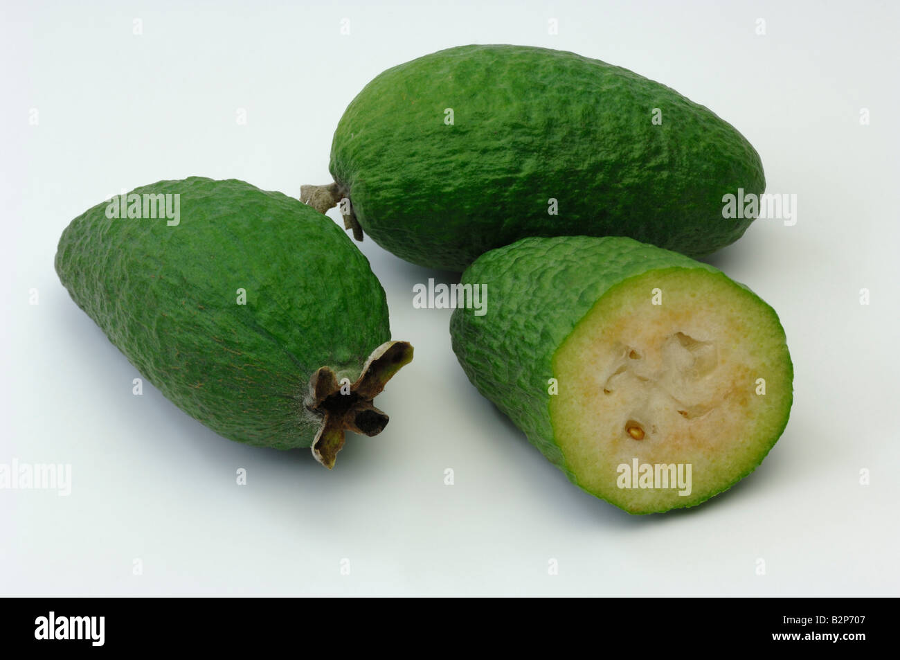 Feijoa, Pineapple Guava, Guavasteen (Acca sellowiana, Feijoa sellowiana ...
