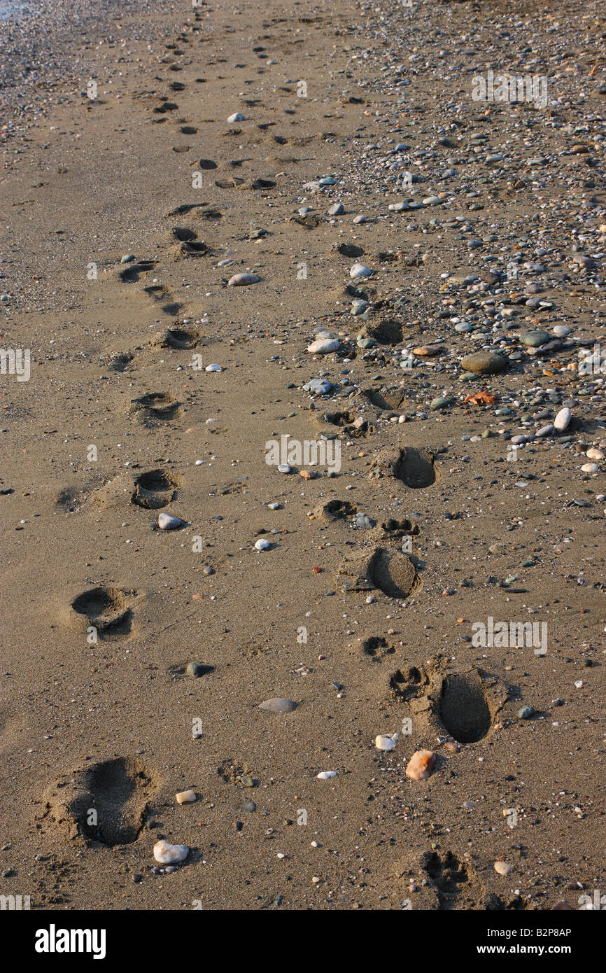 Sandy foot steps hi-res stock photography and images - Alamy