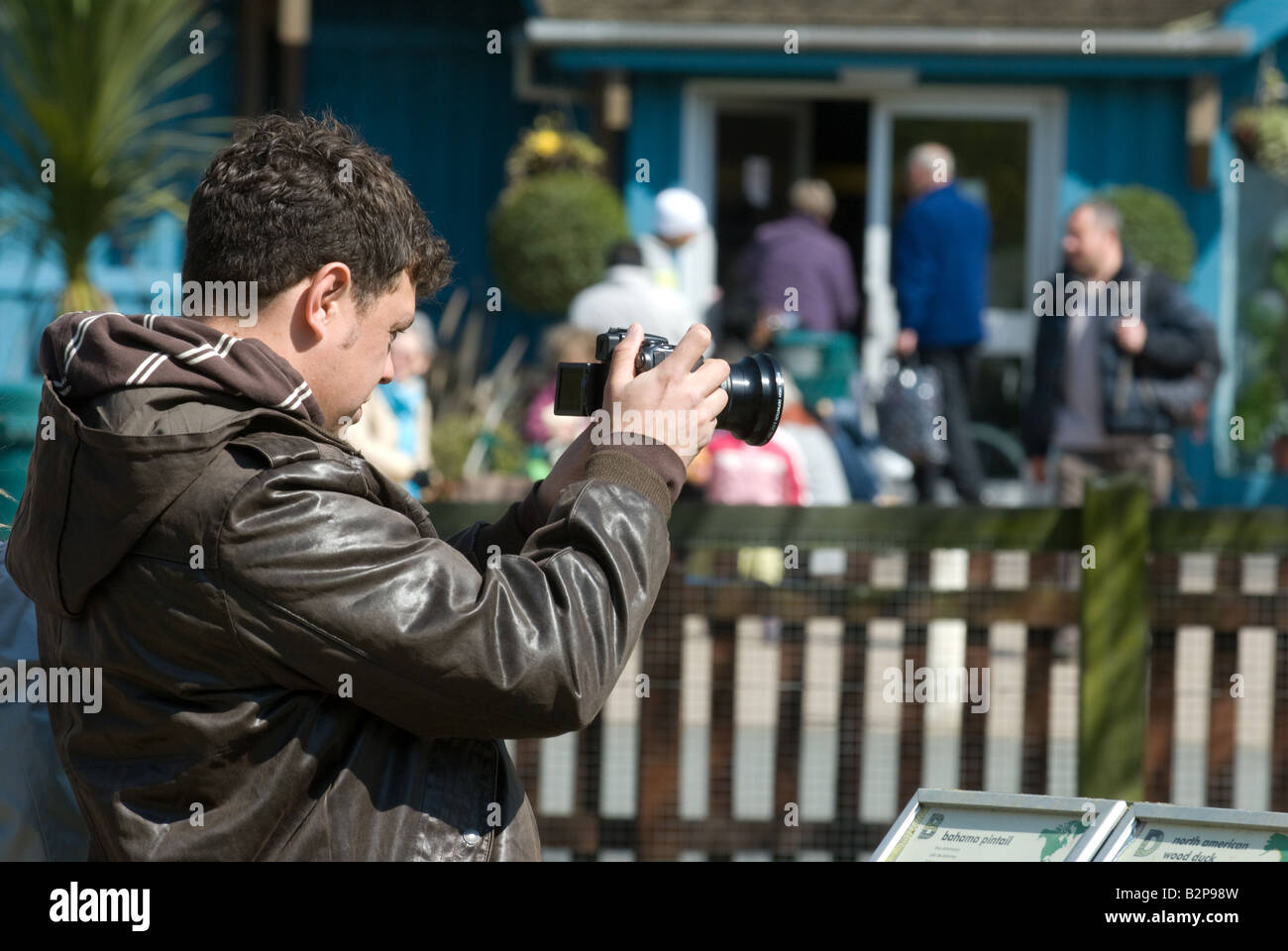 young man looks at screen on digital camera to frame his picture Stock ...