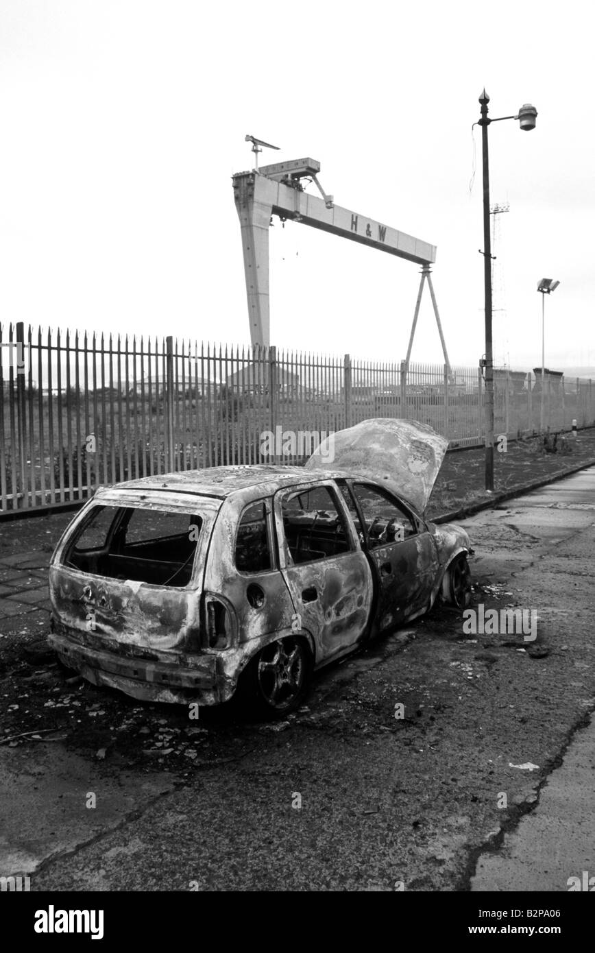 Wolf and crane Black and White Stock Photos & Images - Alamy