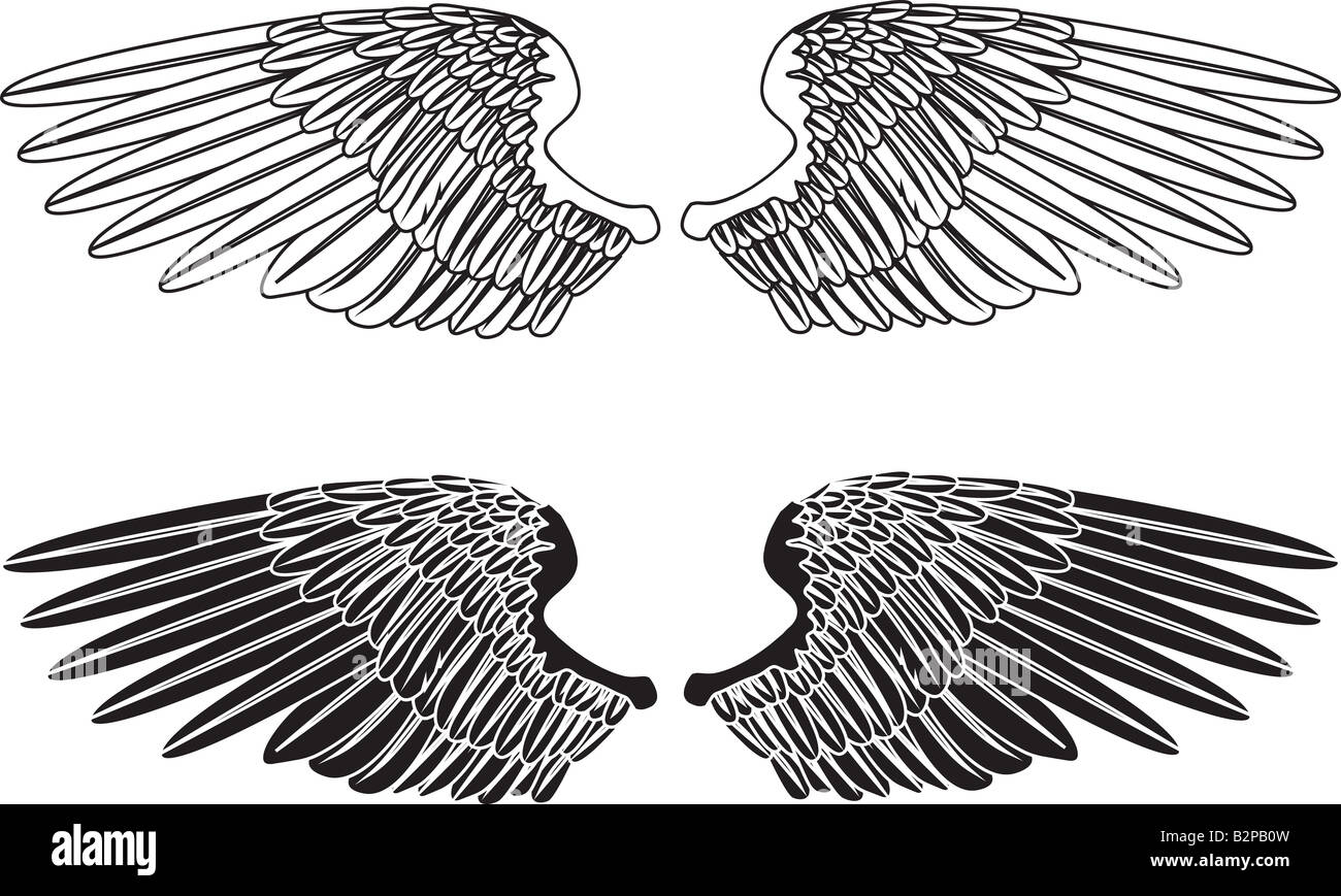 Bird image out line Cut Out Stock Images & Pictures - Alamy