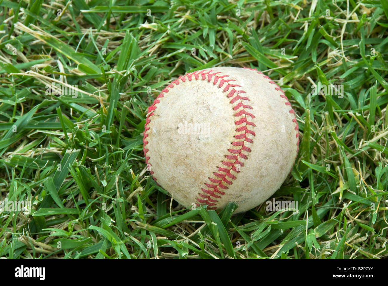 Grass game sport hi-res stock photography and images - Alamy