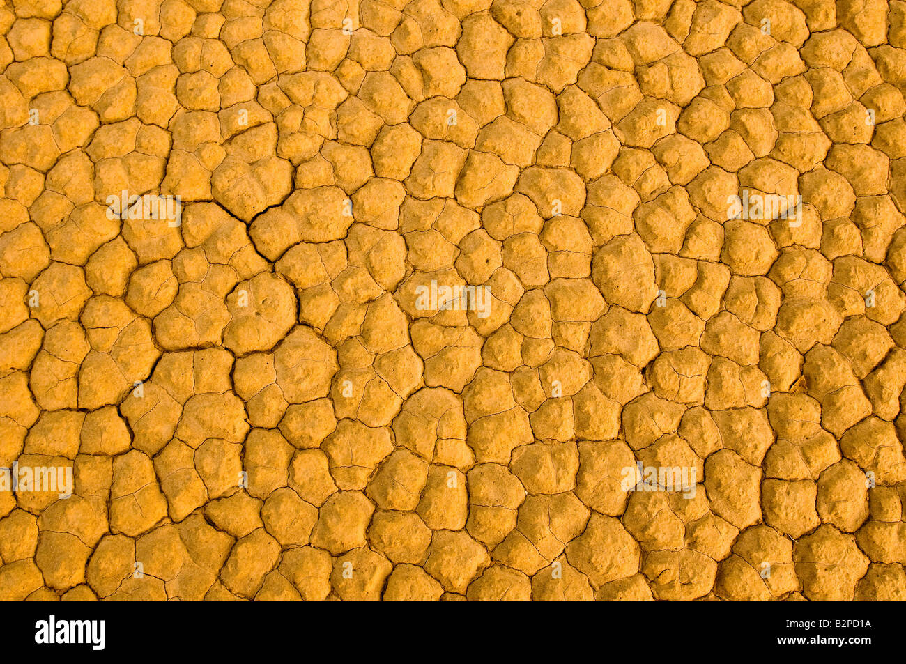 Fissured clay texture hi-res stock photography and images - Alamy