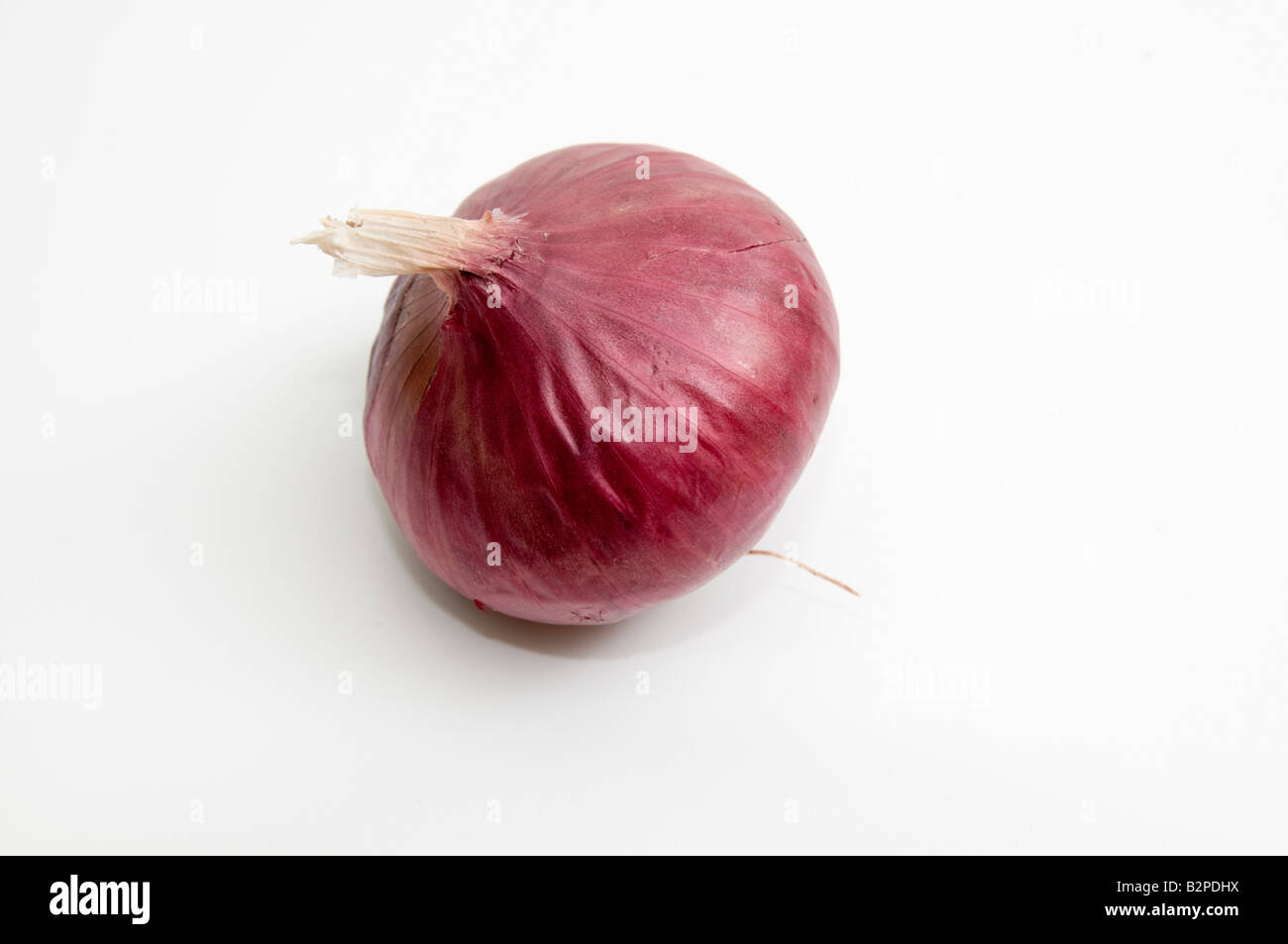 Red Onion on white background Stock Photo - Alamy