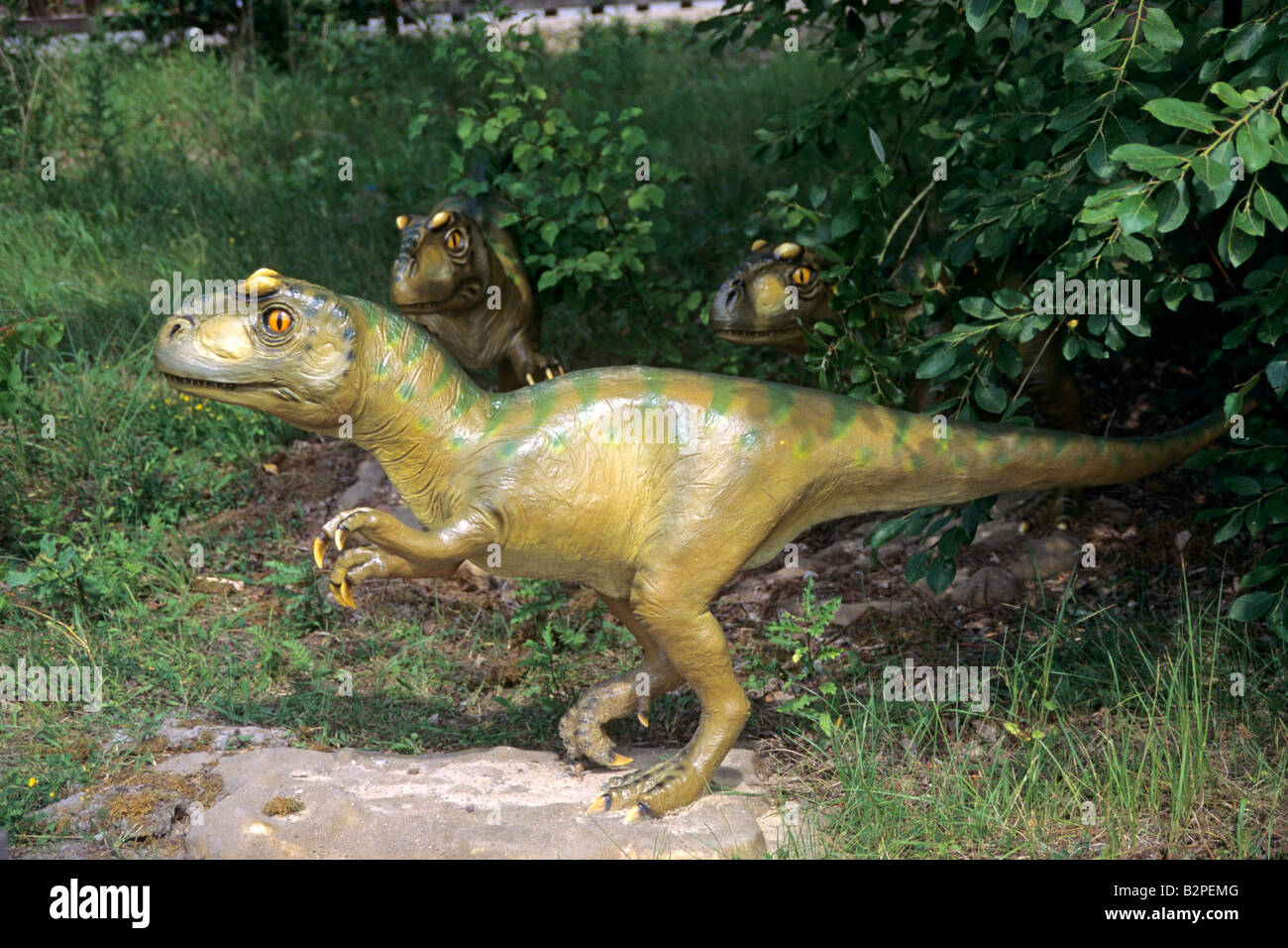Velociraptor, life-seized model Stock Photo - Alamy