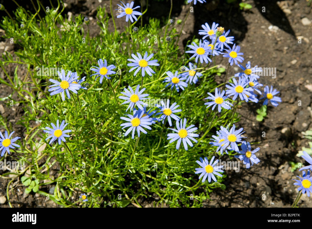Sys hi-res stock photography and images - Alamy