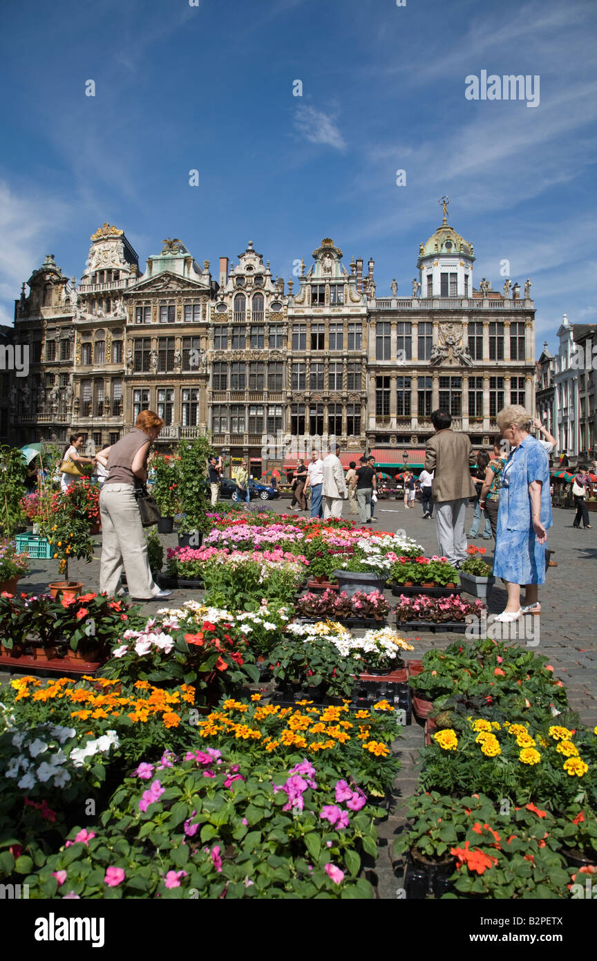 Flower market on the Grand Place at Brussels Stock Photo - Alamy