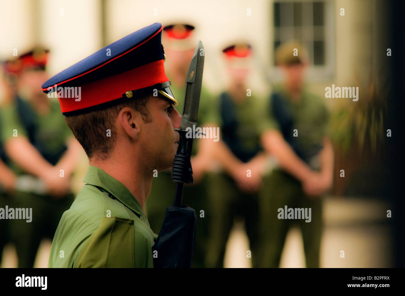 soldiers stand in line on queen's guard parade Stock Photo - Alamy