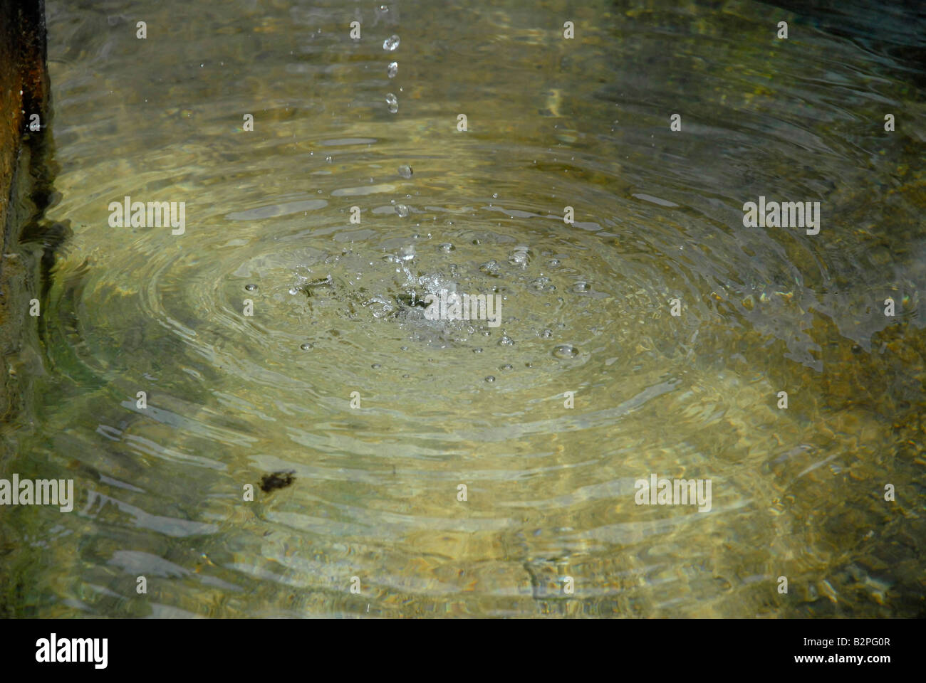 ripples on a pond Stock Photo - Alamy