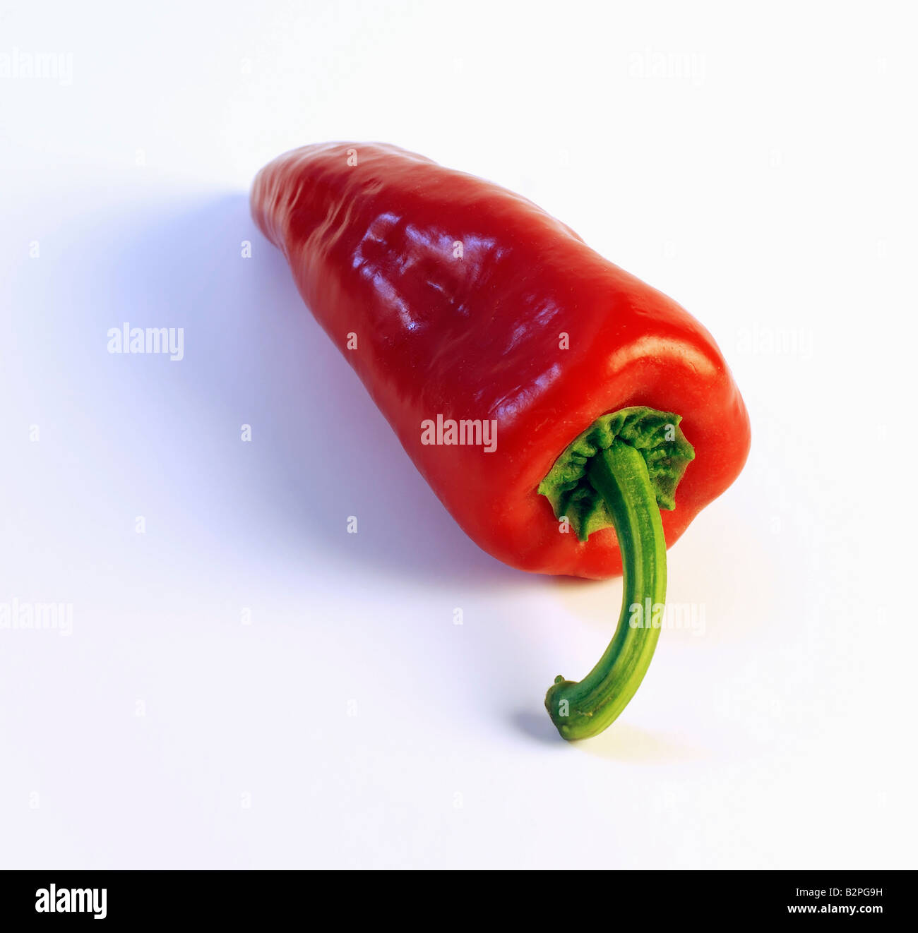 Red Bell pepper Capsicum annuum on white background Stock Photo - Alamy
