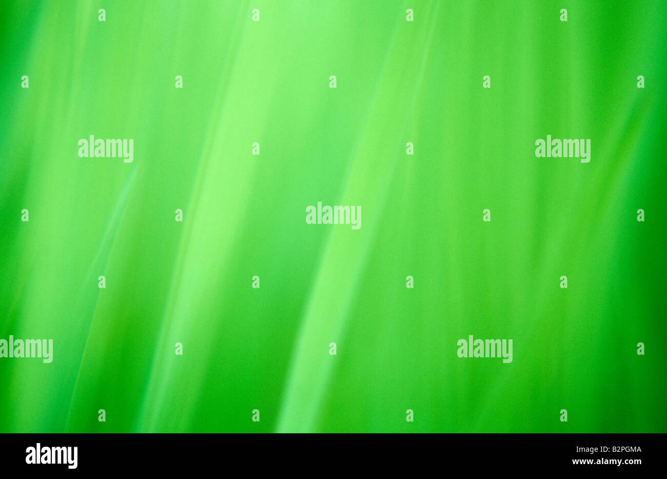 Impressionistic close up of lush spring green blades of grass in ...