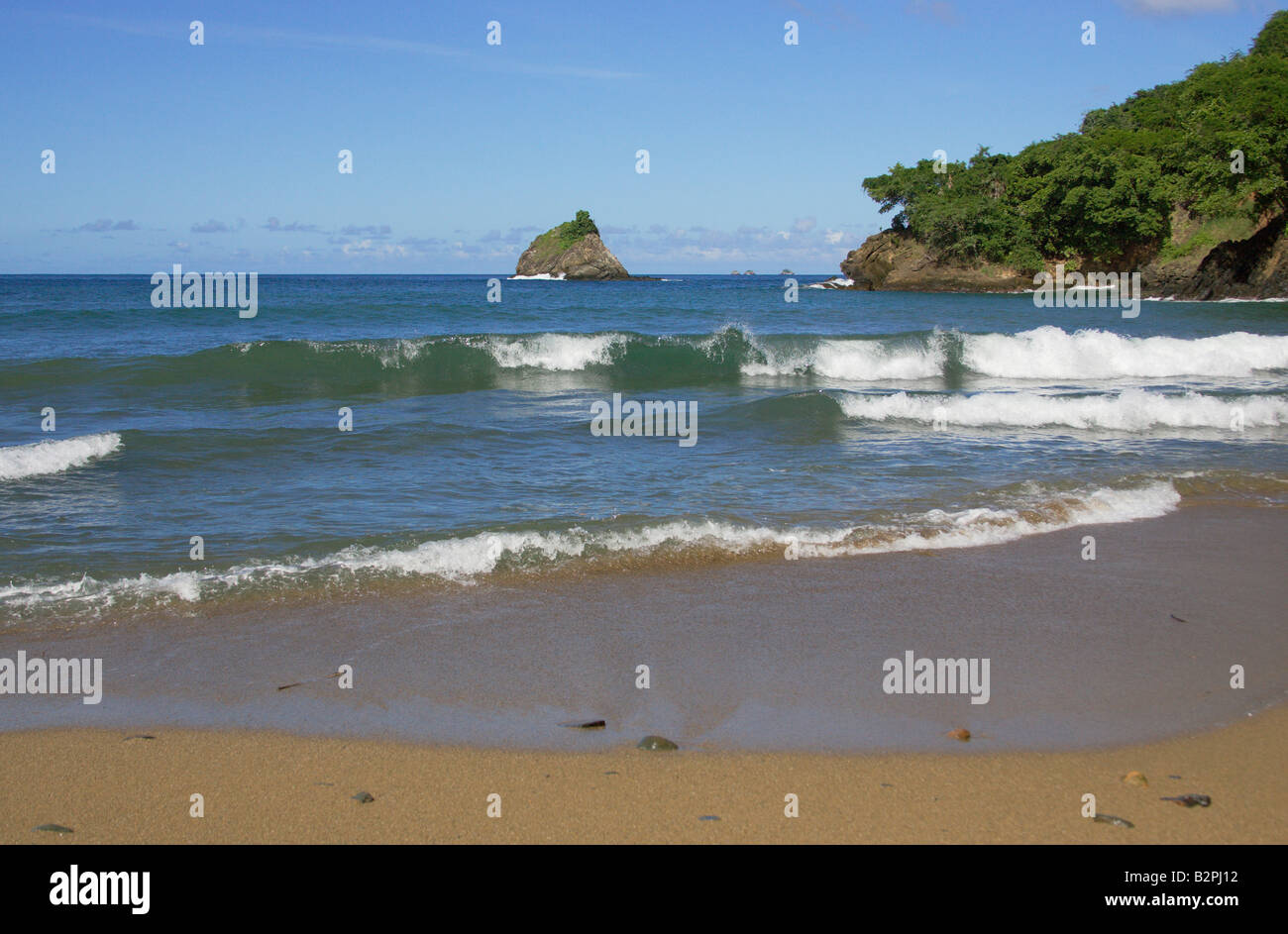 Castara Bay Tobago West Indies Stock Photo - Alamy