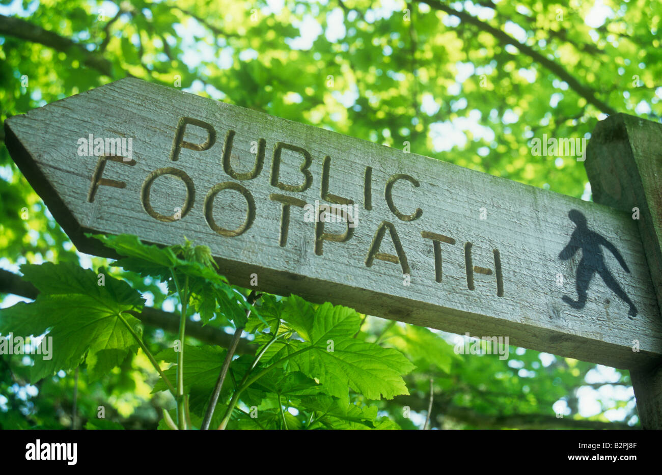 Wooden sign etched with Public Footpath and iconic image of walker ...