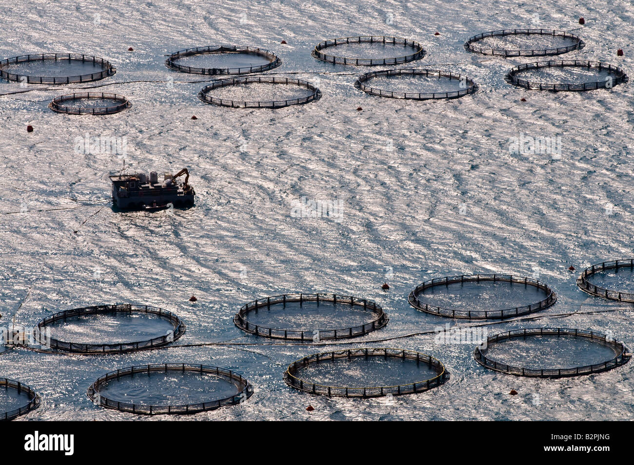 Fish farming in the gulf of Argostoli kefalonia Greece Stock Photo - Alamy