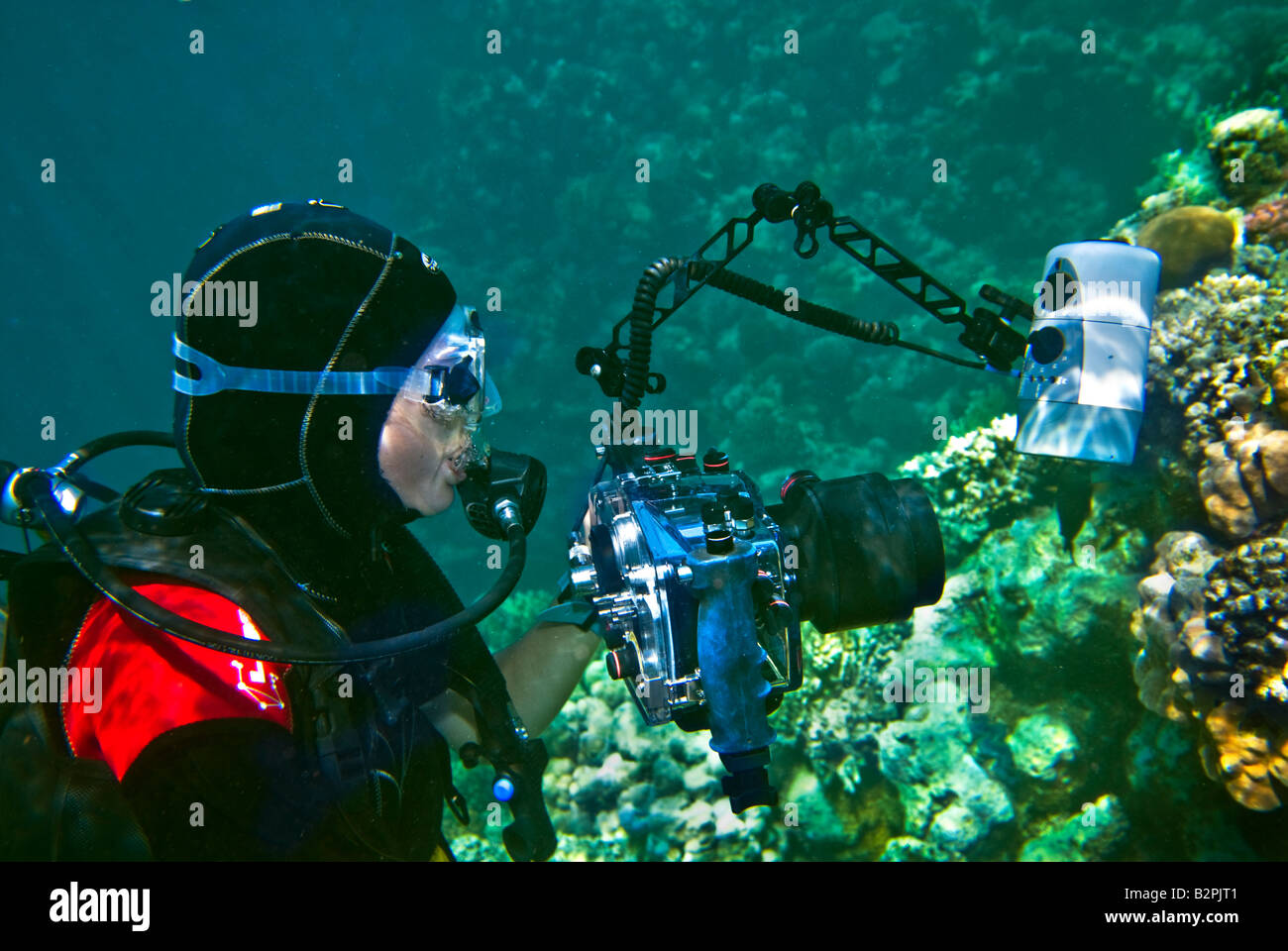 girl woman she DIVER underwater photographer taking pictures camera ...