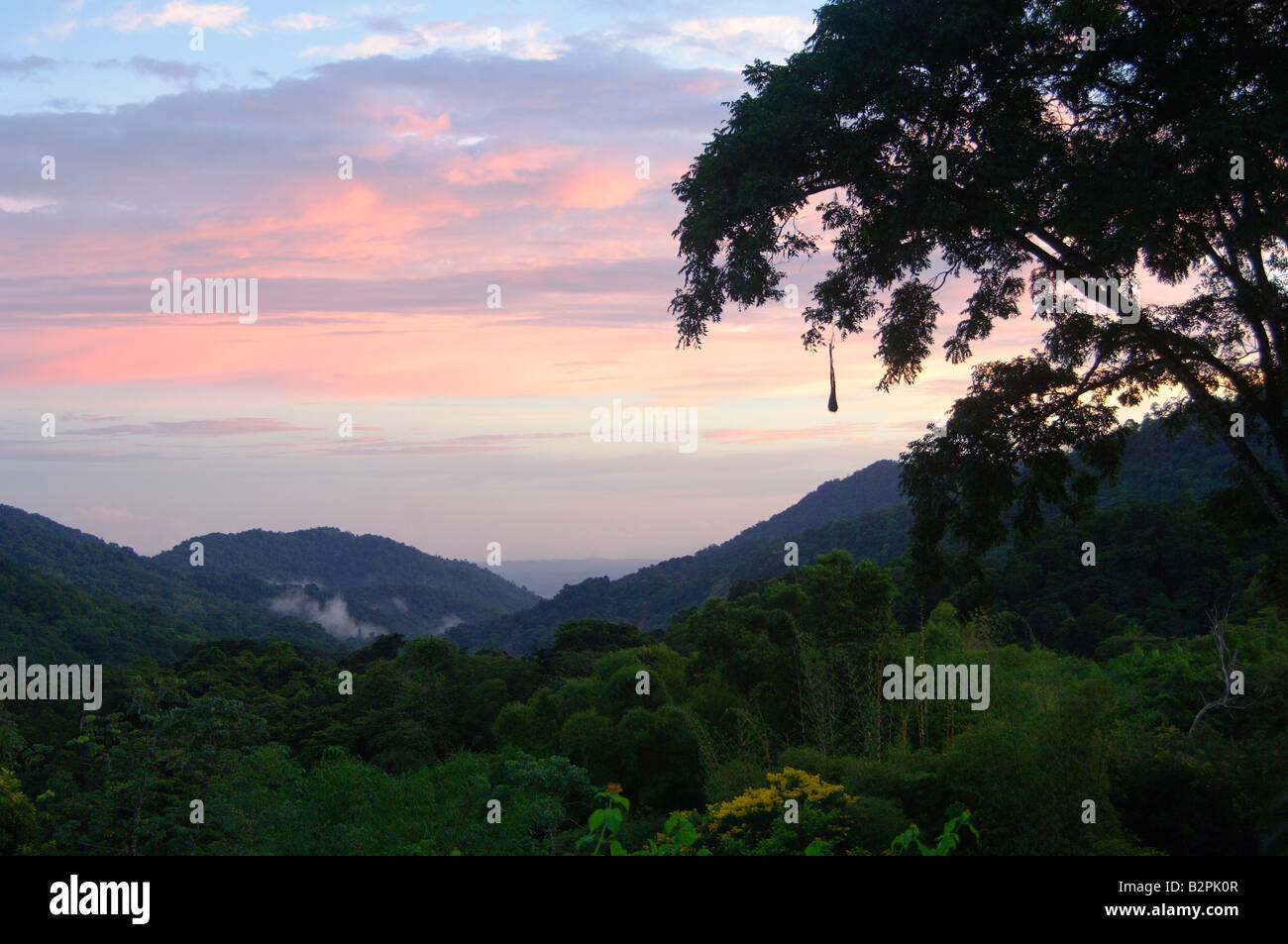 Sunset over the rainforest Trinidad West Indies Stock Photo - Alamy