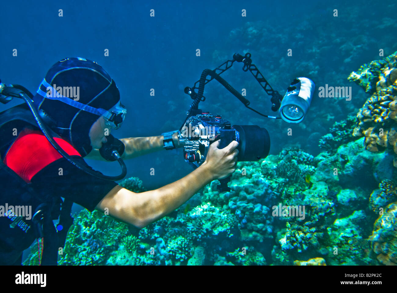 girl woman she DIVER underwater photographer taking pictures camera ...