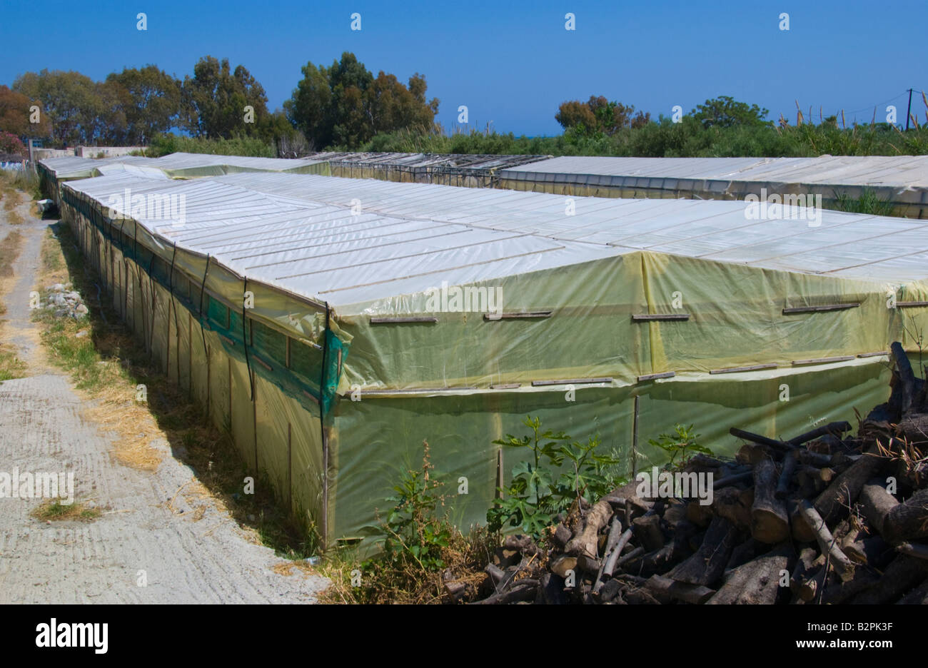 Cretan greenhouse hi-res stock photography and images - Alamy