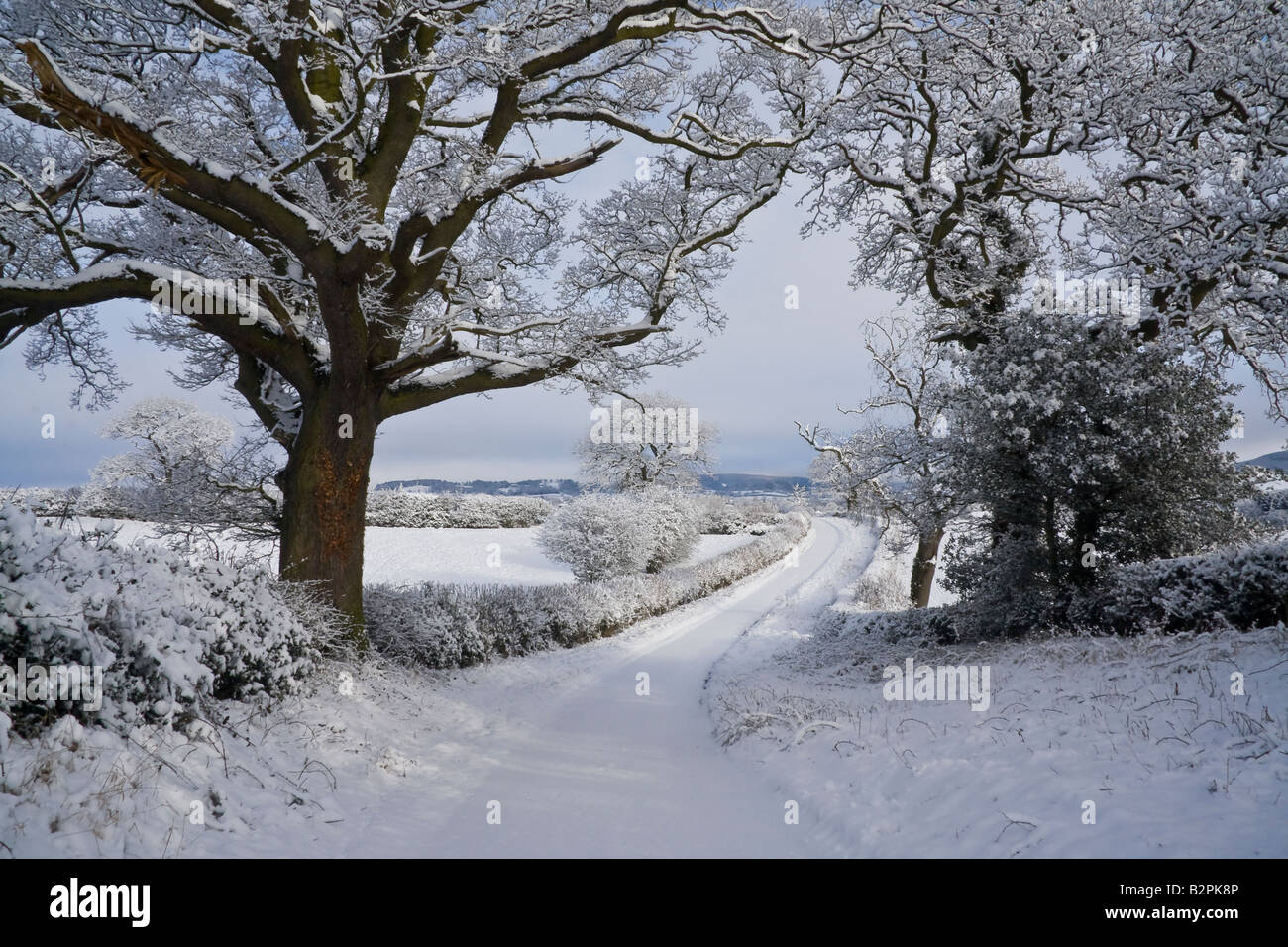 Snowy Country Lane Stock Photos & Snowy Country Lane Stock Images - Alamy