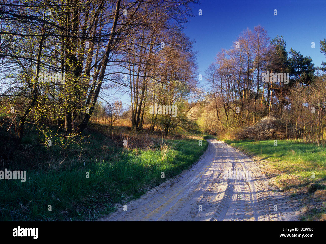Sandy polish road hi-res stock photography and images - Alamy