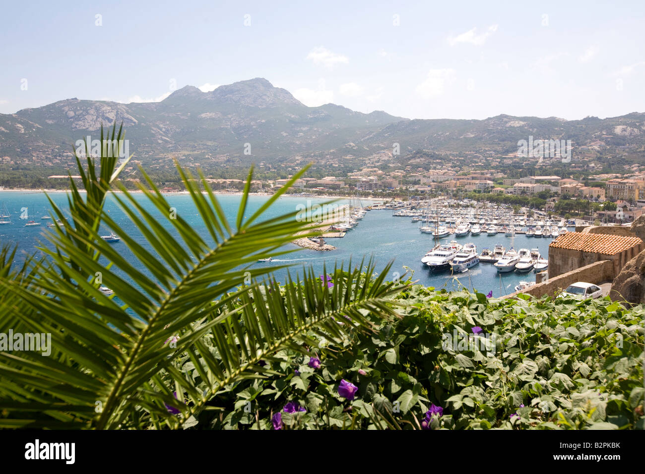 Calvi bay, Corsica Stock Photo - Alamy