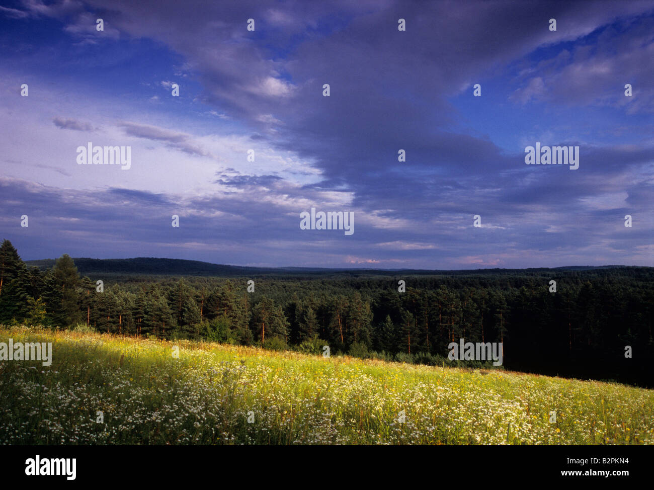 storm cloud sky stormy forest reserve Stock Photo - Alamy