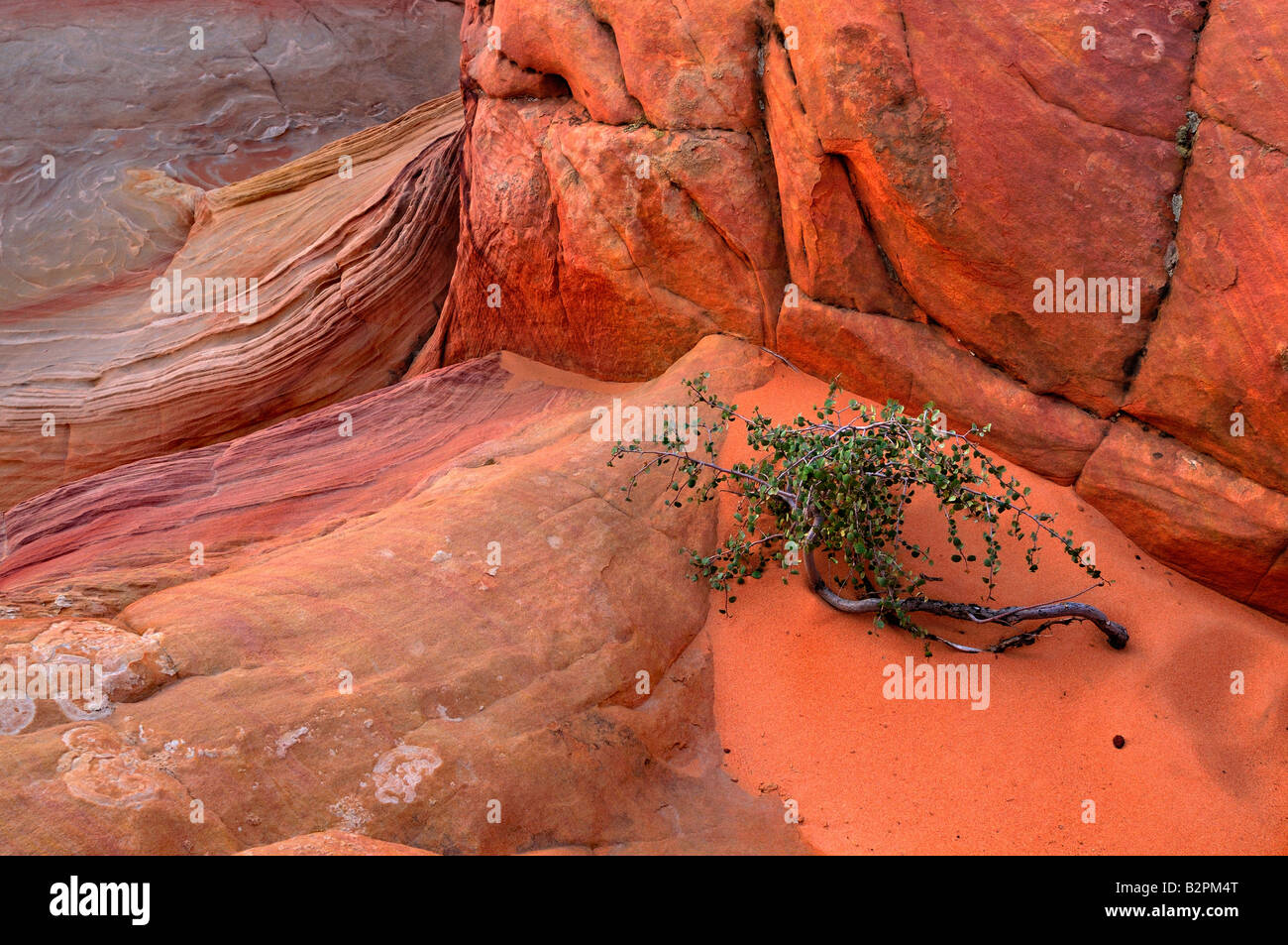 Rock formation in Arizona Stock Photo - Alamy