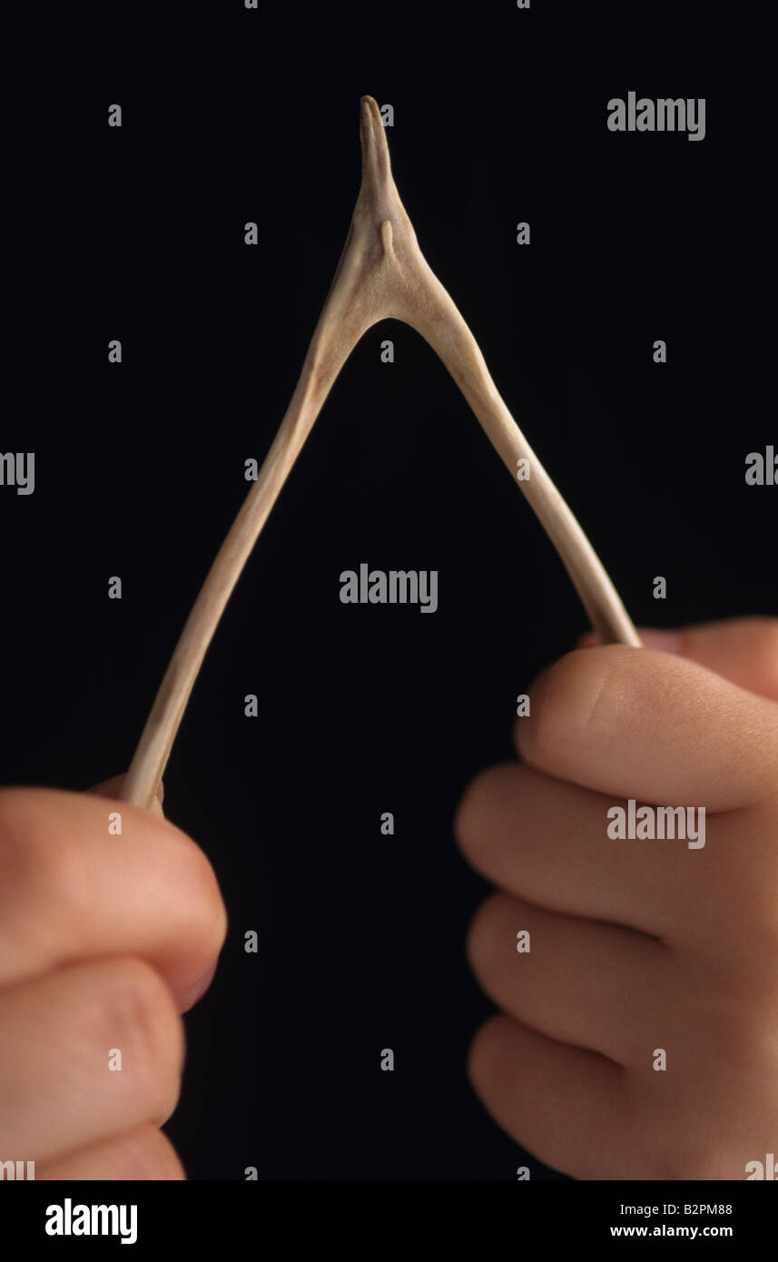 Hands breaking a wishbone hi-res stock photography and images - Alamy