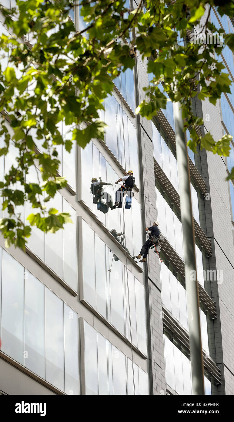Abeiling window cleaners on tower block Stock Photo - Alamy