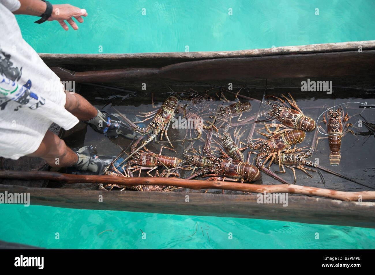 Indian tribe hi-res stock photography and images - Alamy