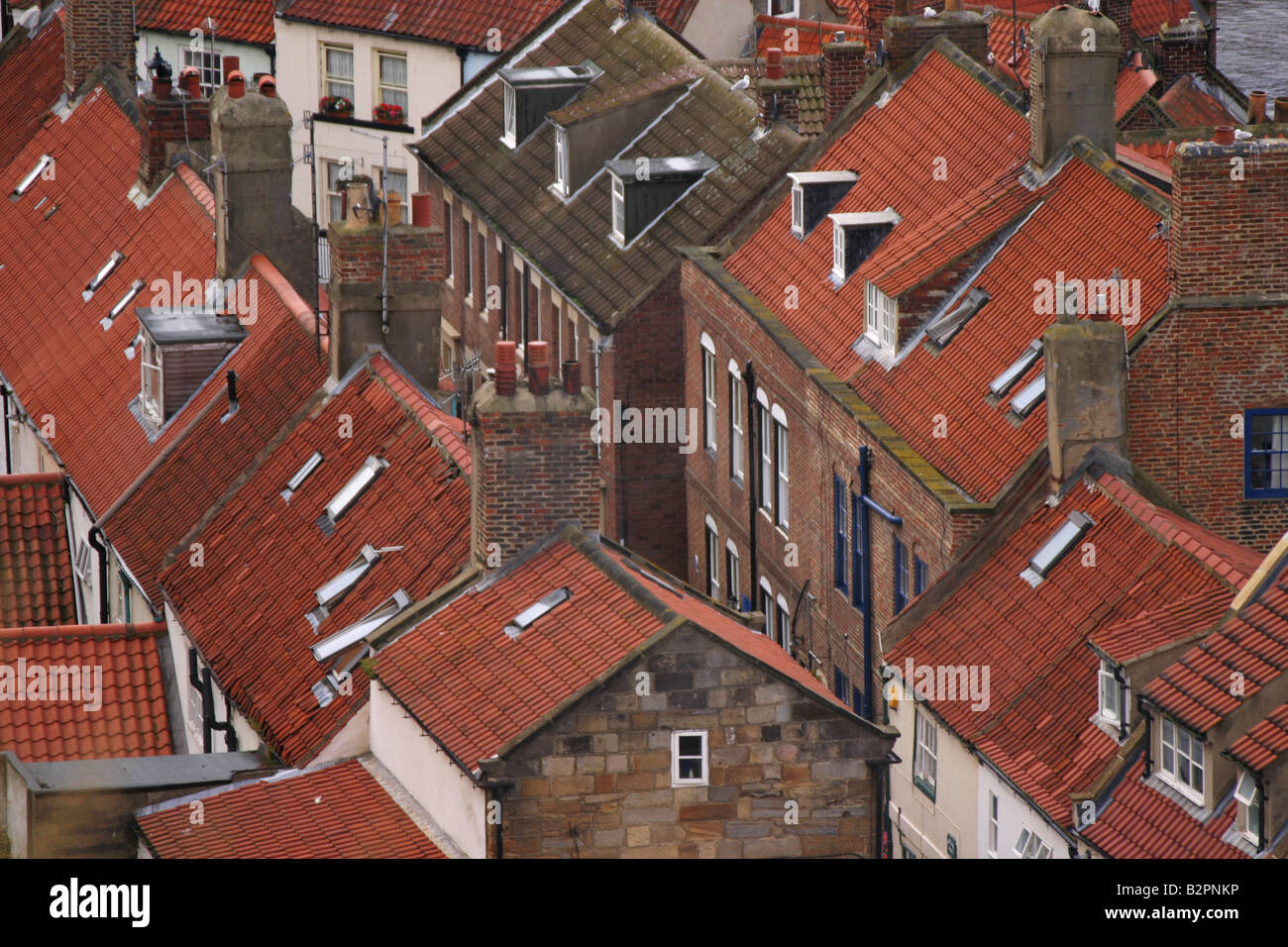 Rebrick Rooftops at Whitby North Yorkshire United Kingdom Stock Photo ...