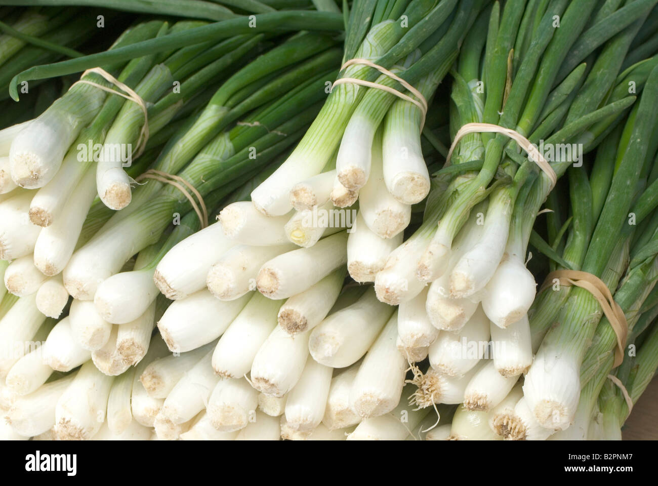 Stacks of green onions or scallions are ready for sale at the farmers ...