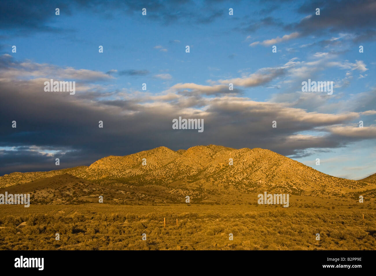 Soft golden light hi-res stock photography and images - Alamy