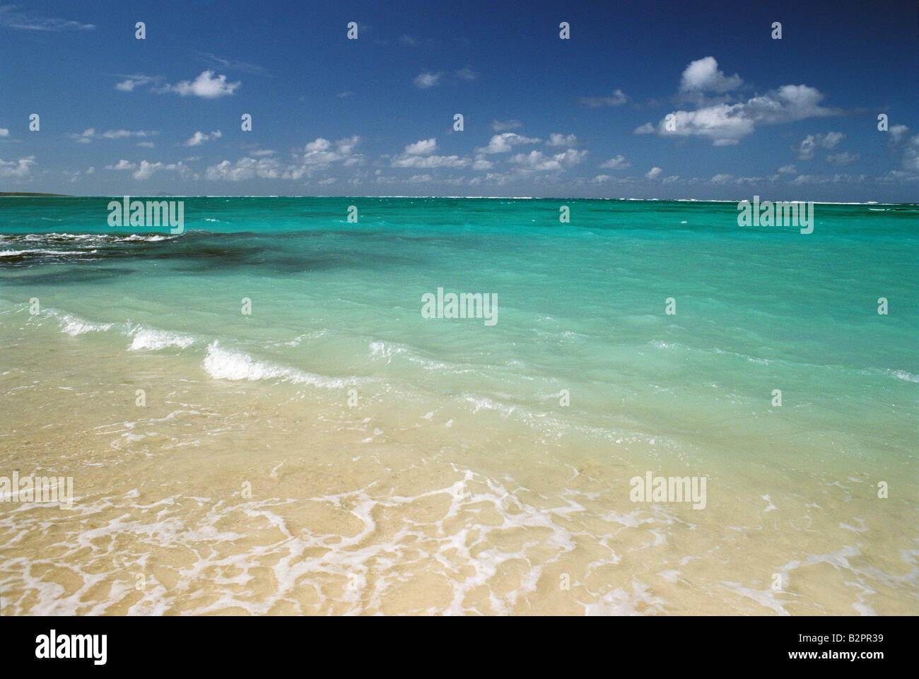 Electric blue sea Stock Photo - Alamy