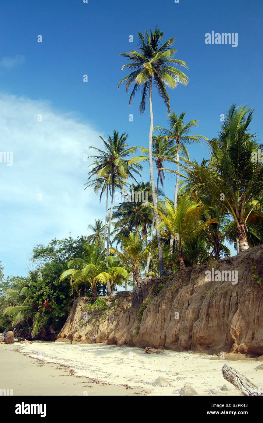 The beach at Tayrona national park in Colombia Stock Photo - Alamy