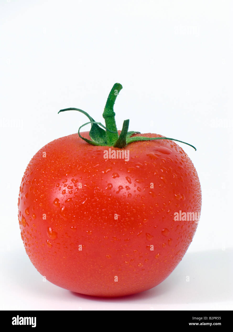 Single Tomato wet Stock Photo - Alamy