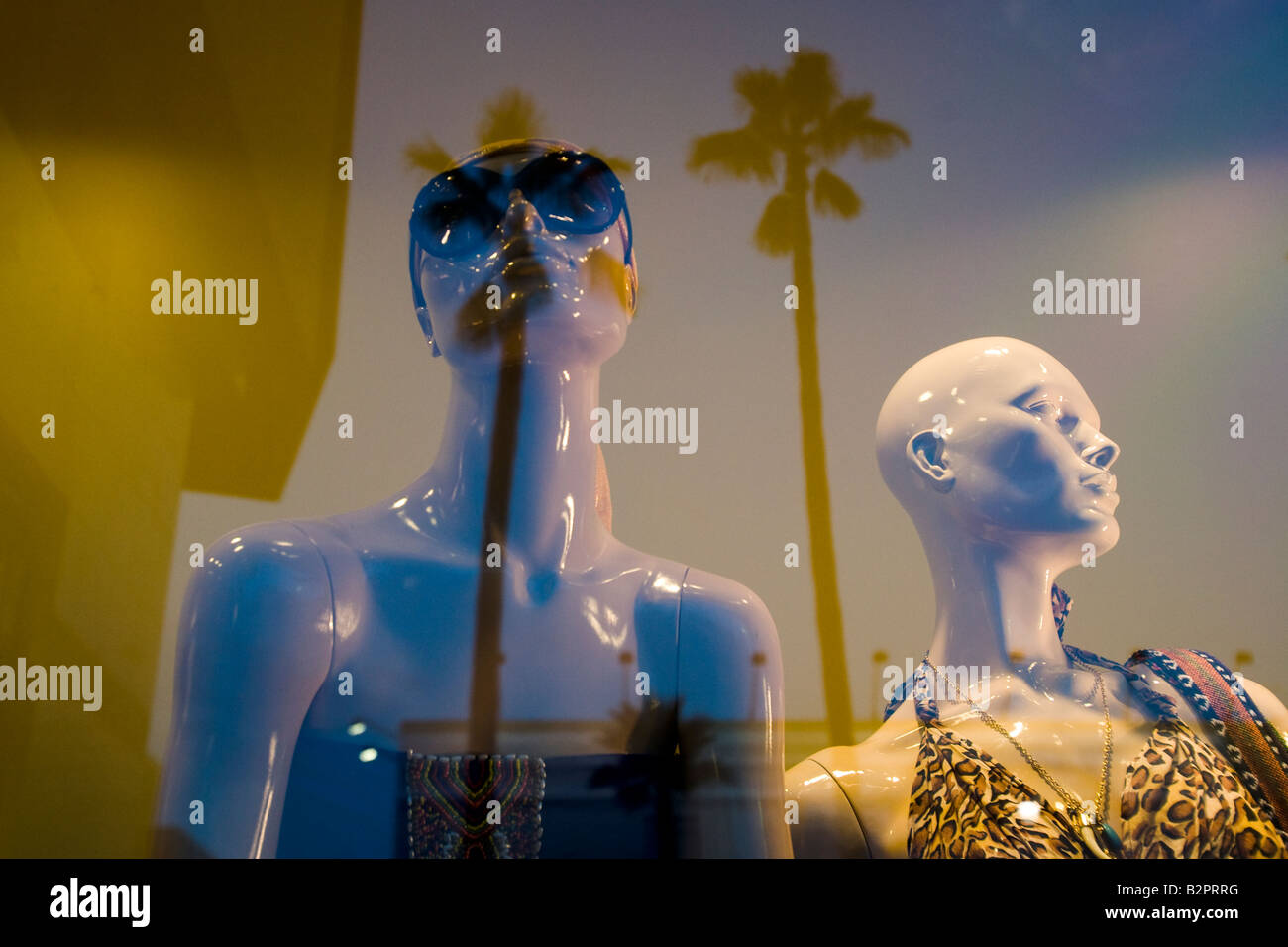 Manikins in a shop window Hollywood Blvd Hollywood California United ...