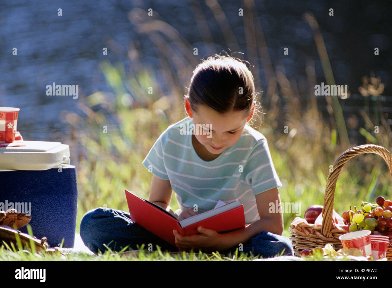 Young girl reading a book sitting down on a blanket at a picnic, summer ...