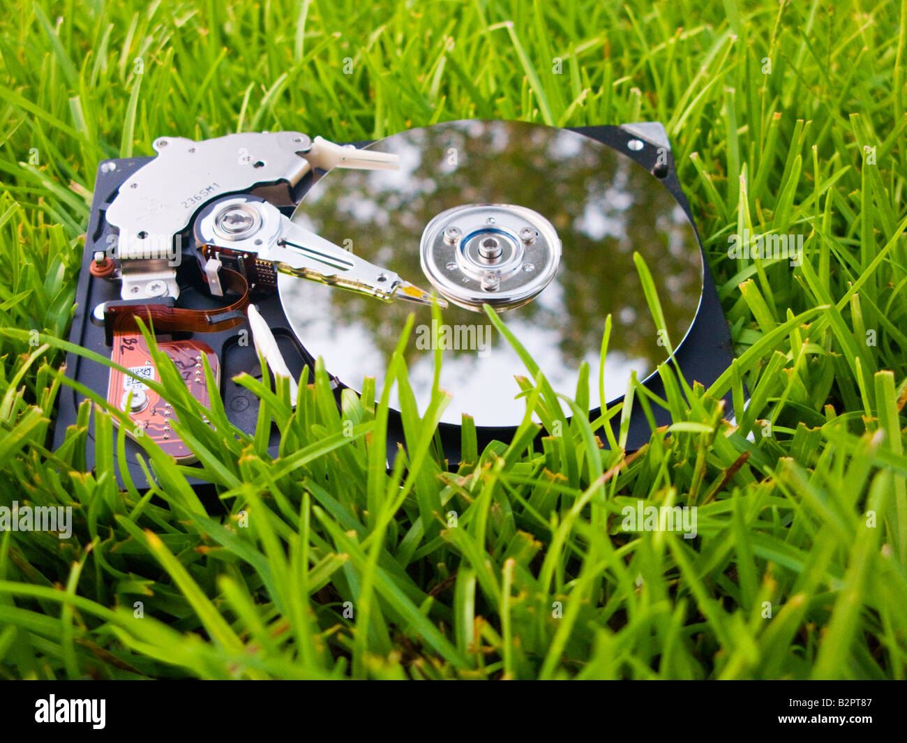 Hard drive in grass green IT concept Stock Photo - Alamy