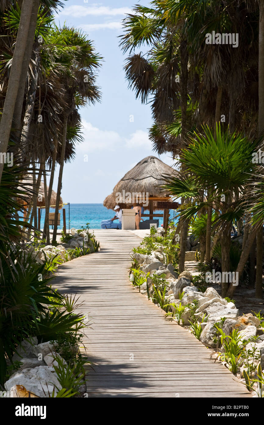 Wooden pathway leads to the beach area of luxury resort hotel on Mayan ...