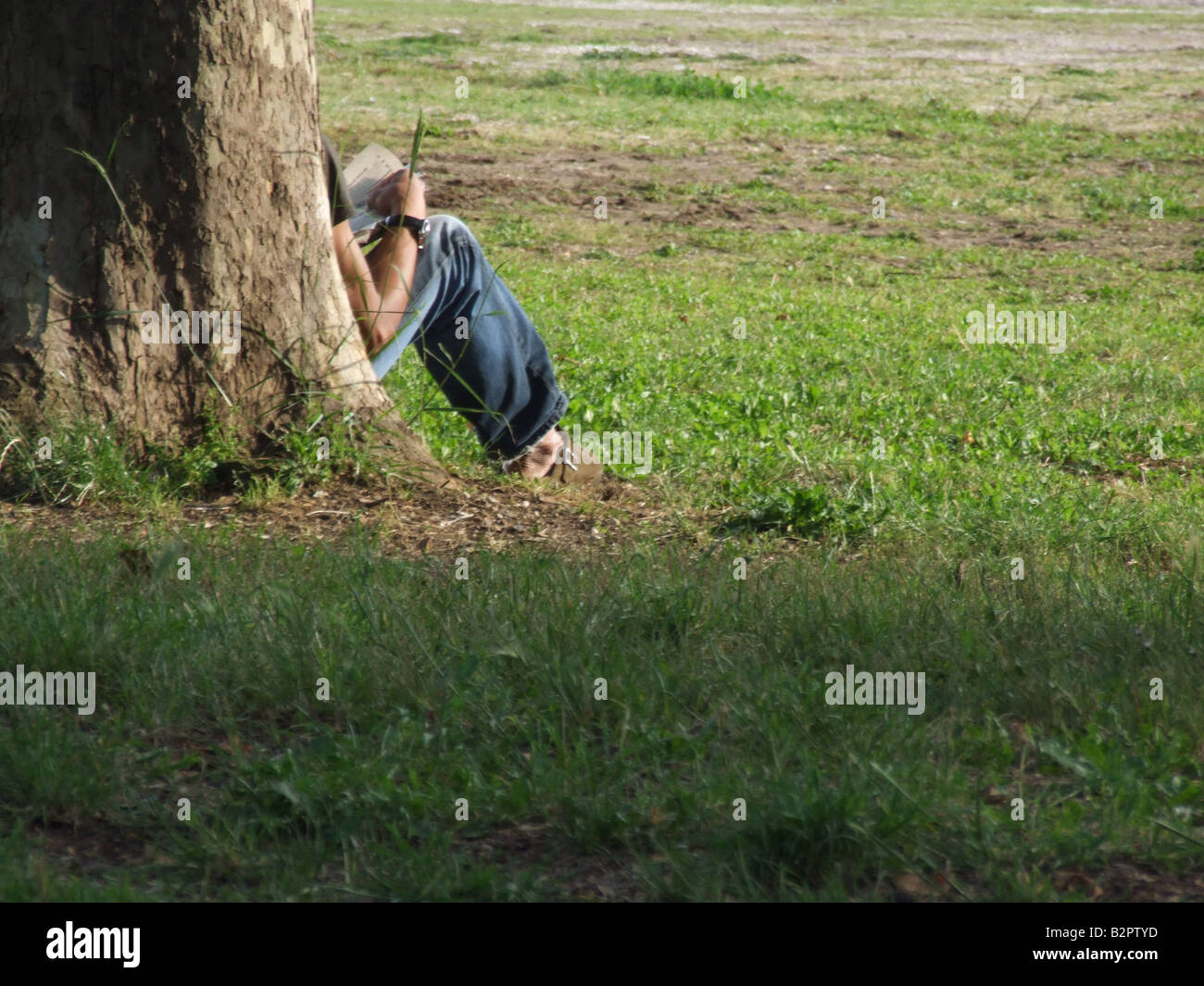 man reading book in villa borghese park in rome Stock Photo - Alamy