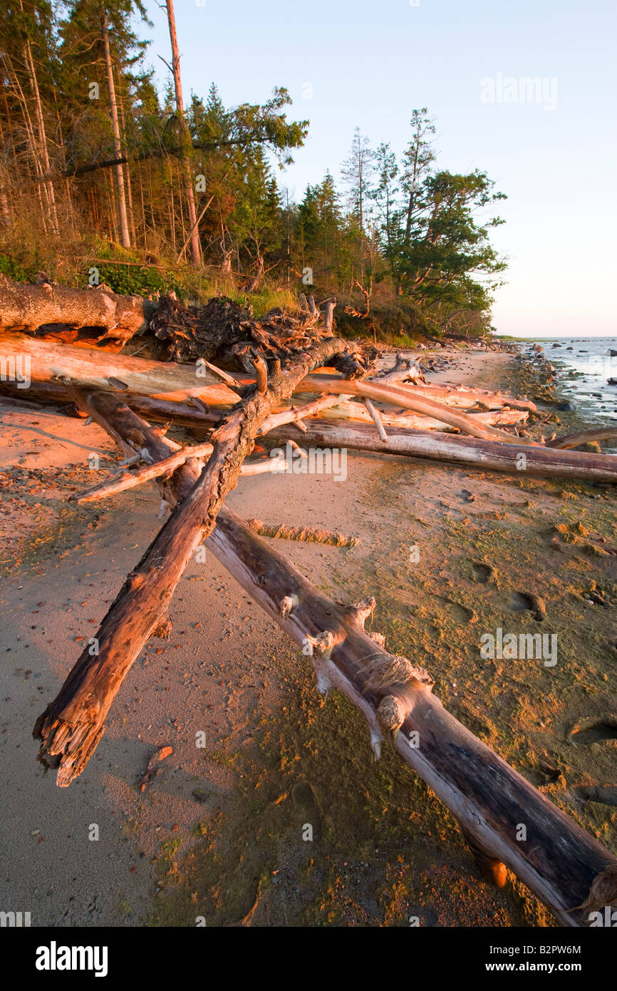 Coastline of Island Ruhnu Stock Photo - Alamy