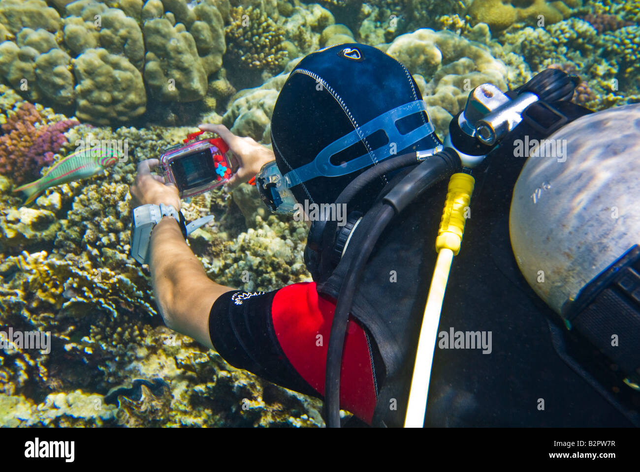 girl woman she DIVER underwater photographer taking pictures camera ...