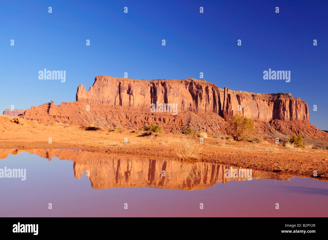 Reflection of the mesa in the pool after autumn rain in Monument Valley Navajo Nation Utah Stock ...