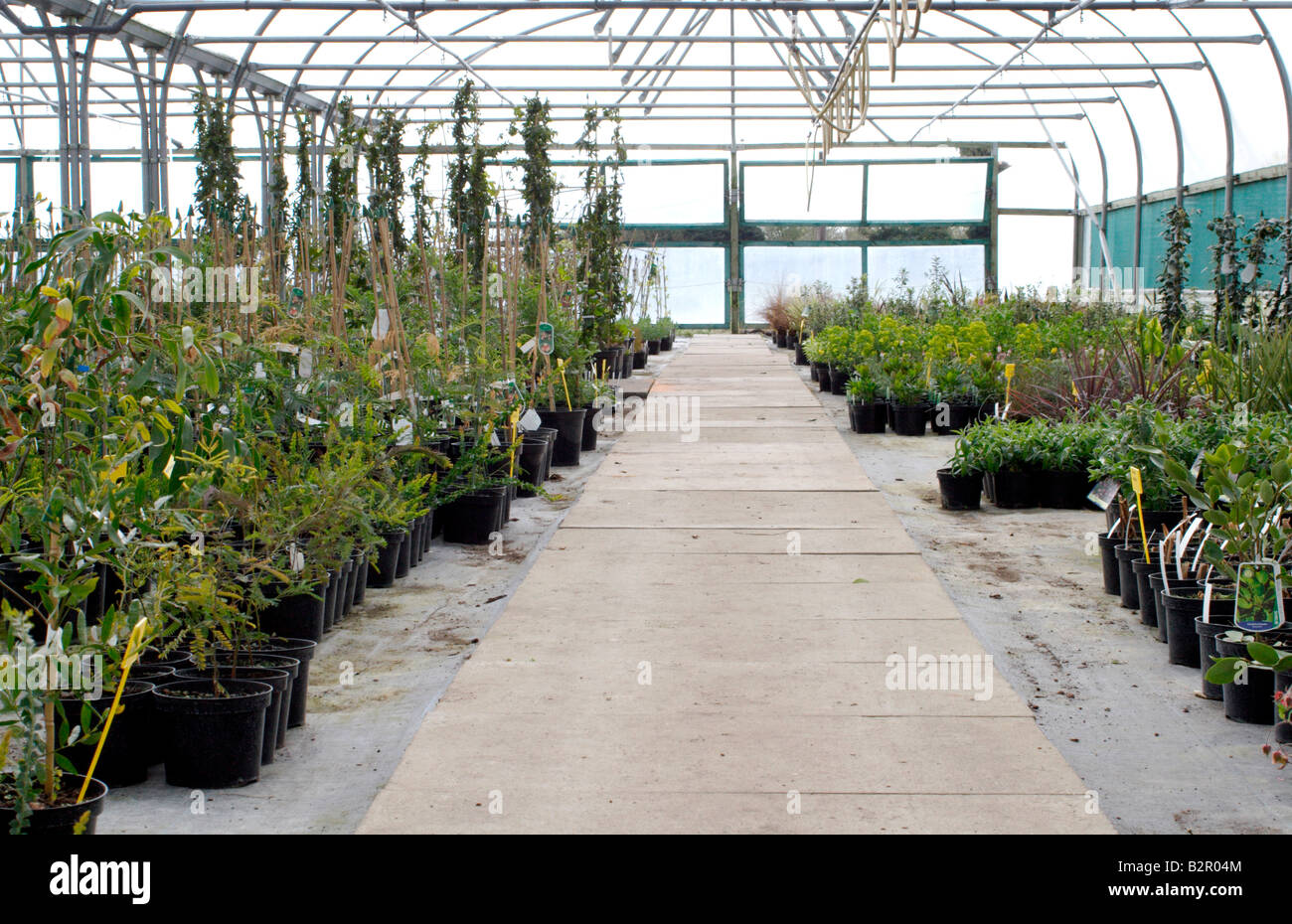 Agriculture polytunnel polyhouse greenhouse hi-res stock photography ...