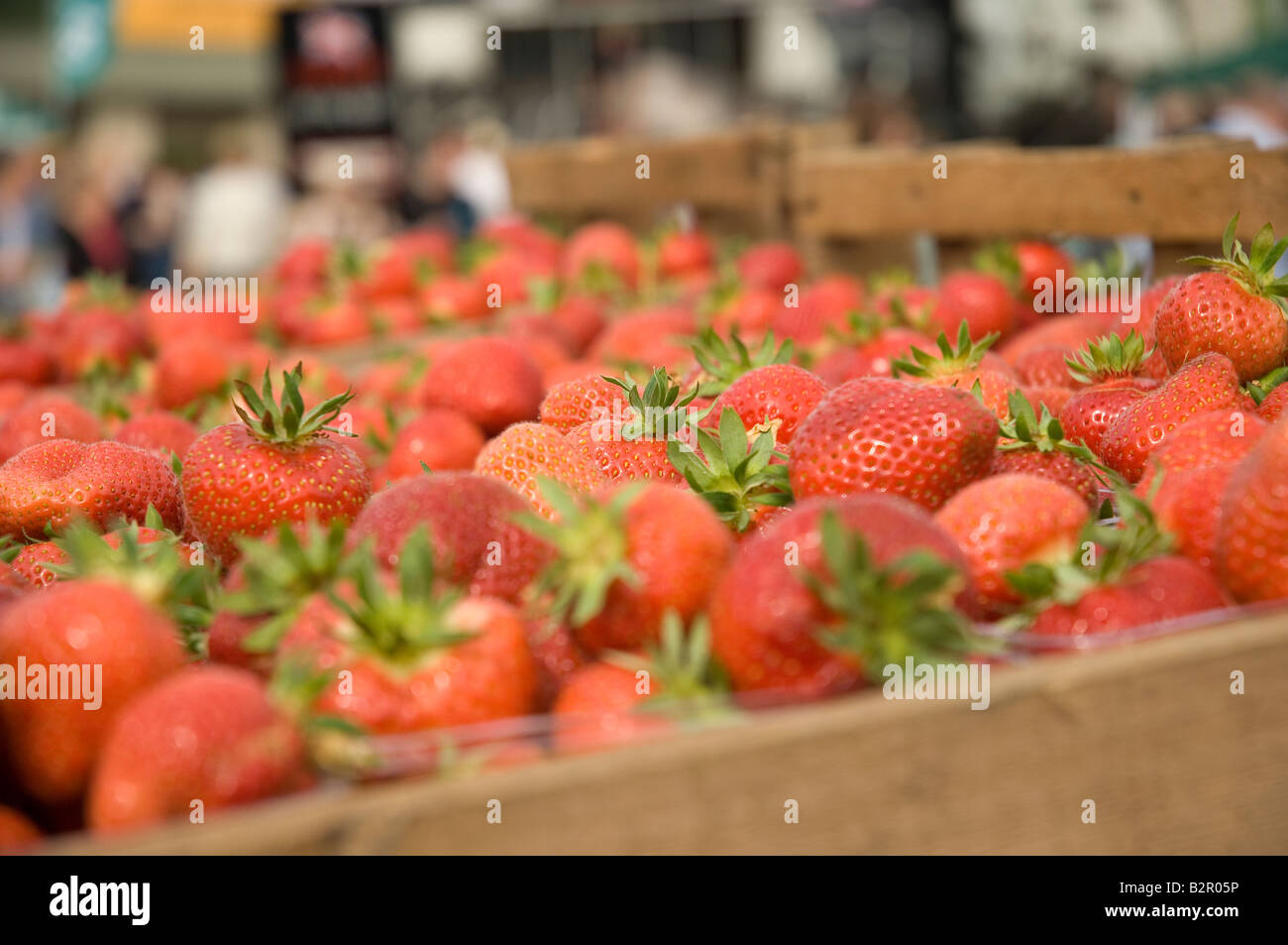 English red strawberry hi-res stock photography and images - Alamy