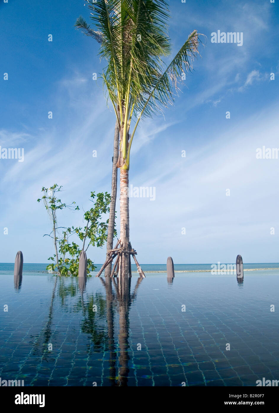 Coconut pool hi-res stock photography and images - Alamy